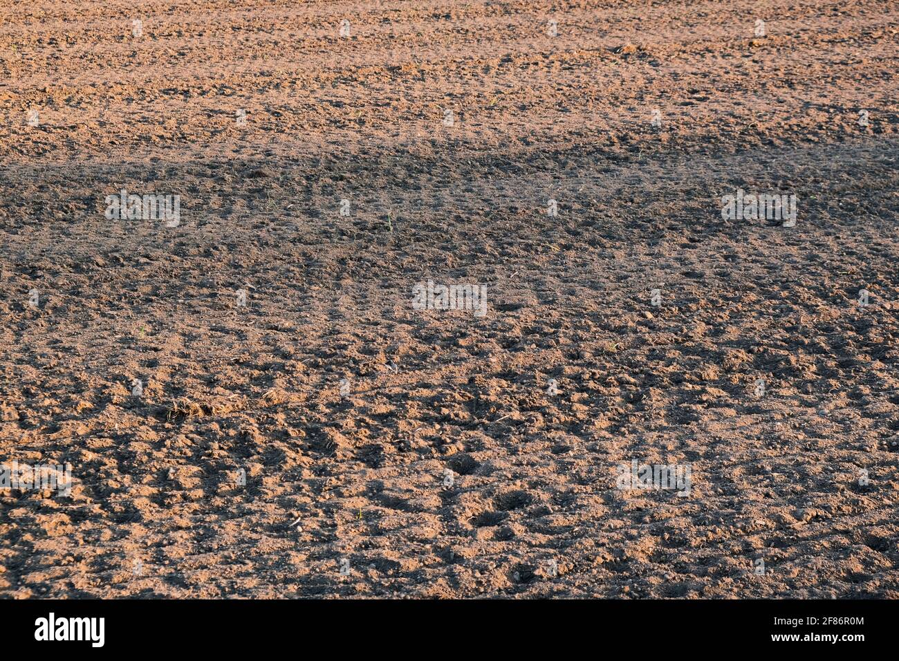 Furrows row pattern in a plowed field prepared for planting crops in ...