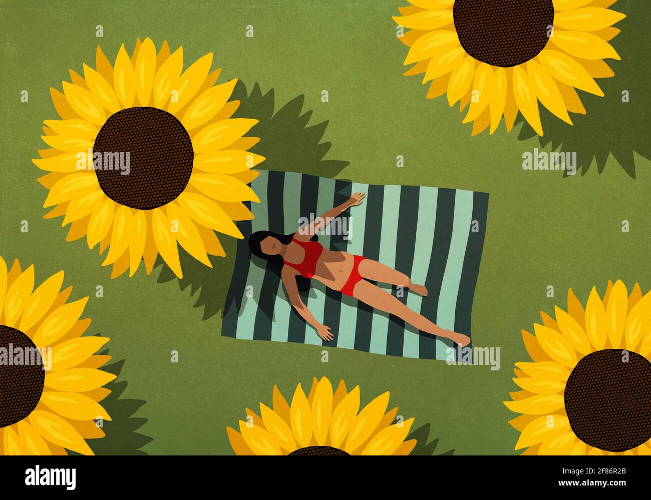 Woman in bikini sunbathing on blanket among large sunflowers Stock ...