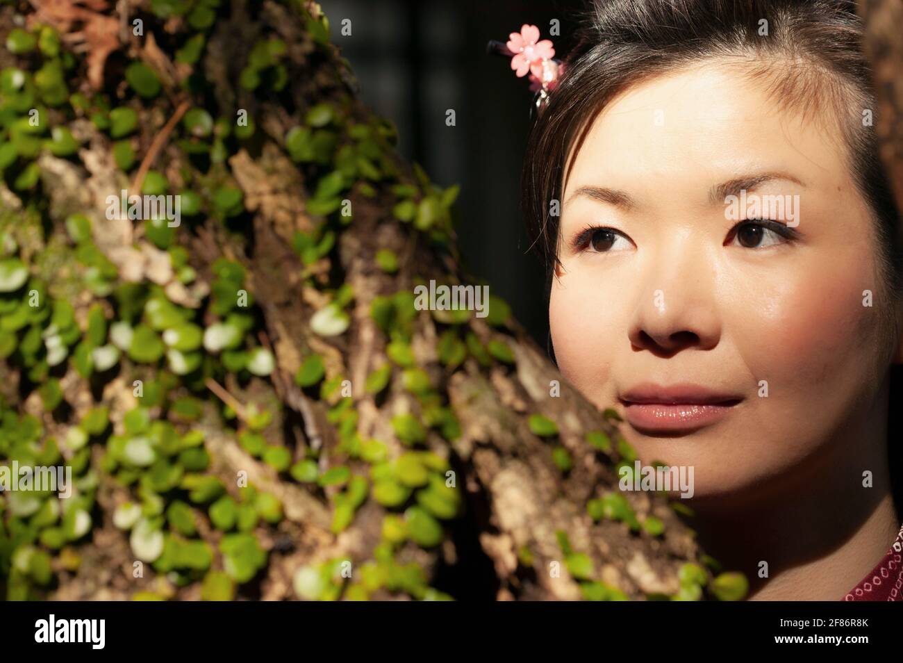 Sprout eyes hi-res stock photography and images - Alamy