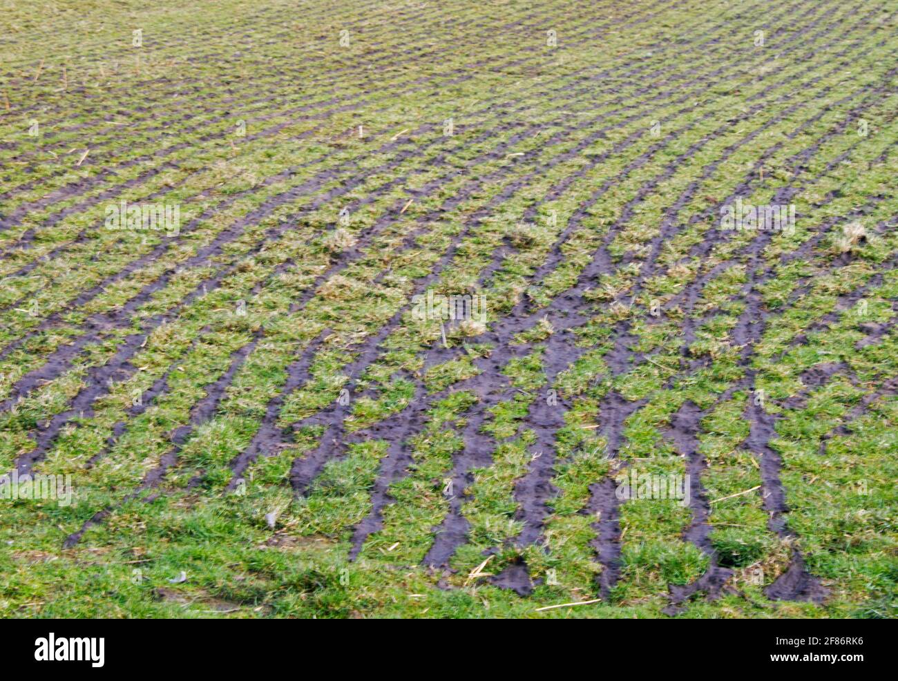 Manure injection hi-res stock photography and images - Alamy