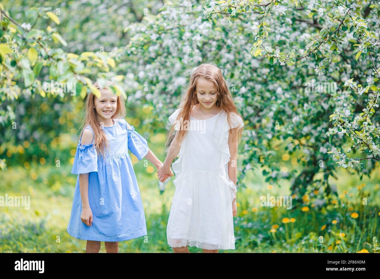 Adorable little girls in blooming apple tree garden on spring day Stock Photo - Alamy