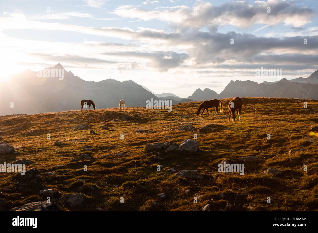 Sankt moritz people hi-res stock photography and images - Alamy