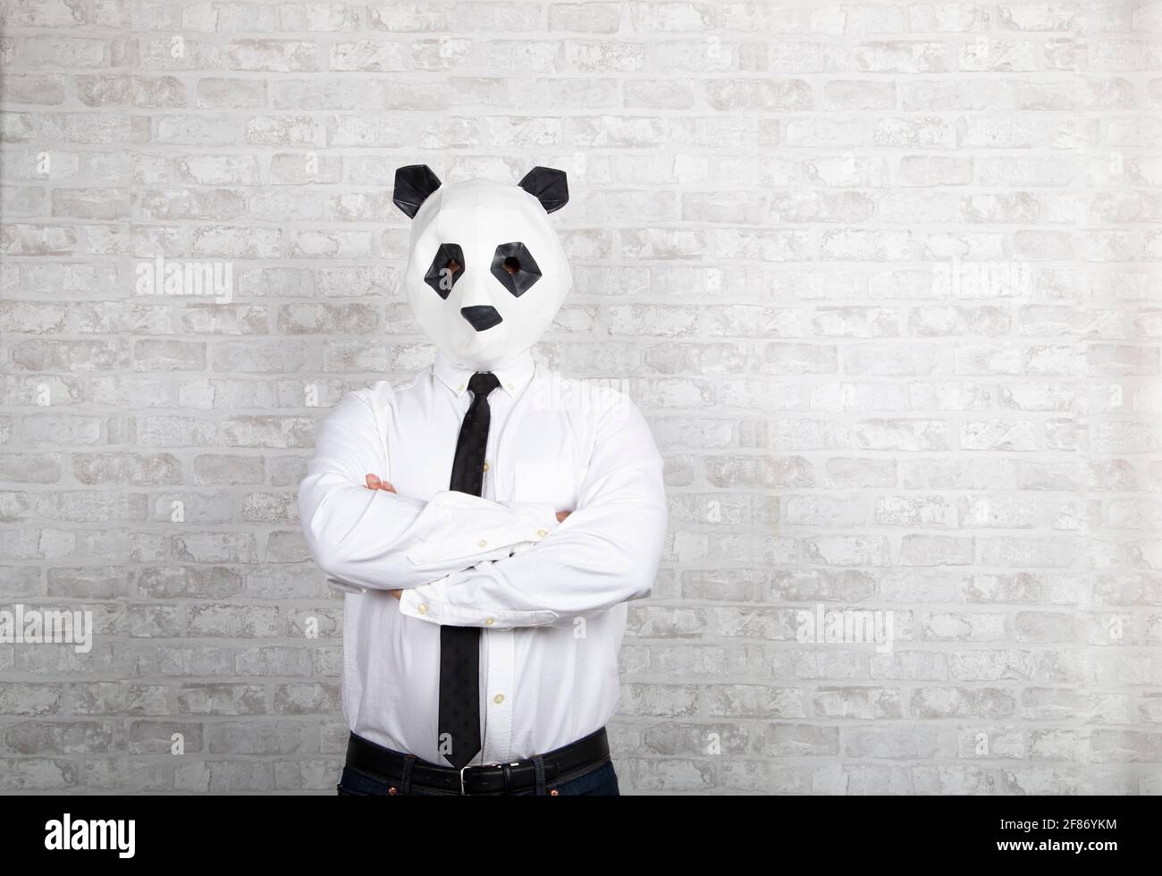 Portrait of a man with panda bear mask Stock Photo - Alamy