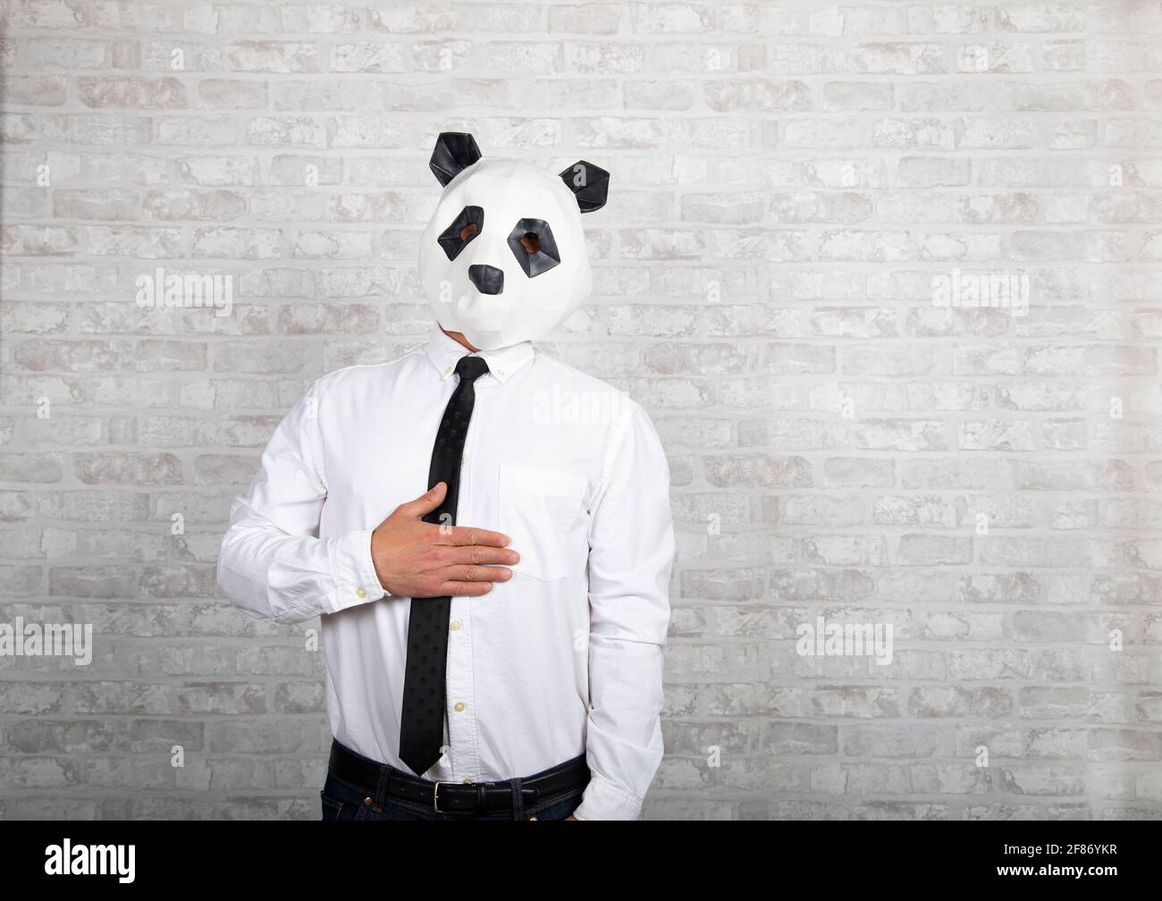 Panda Costume Men