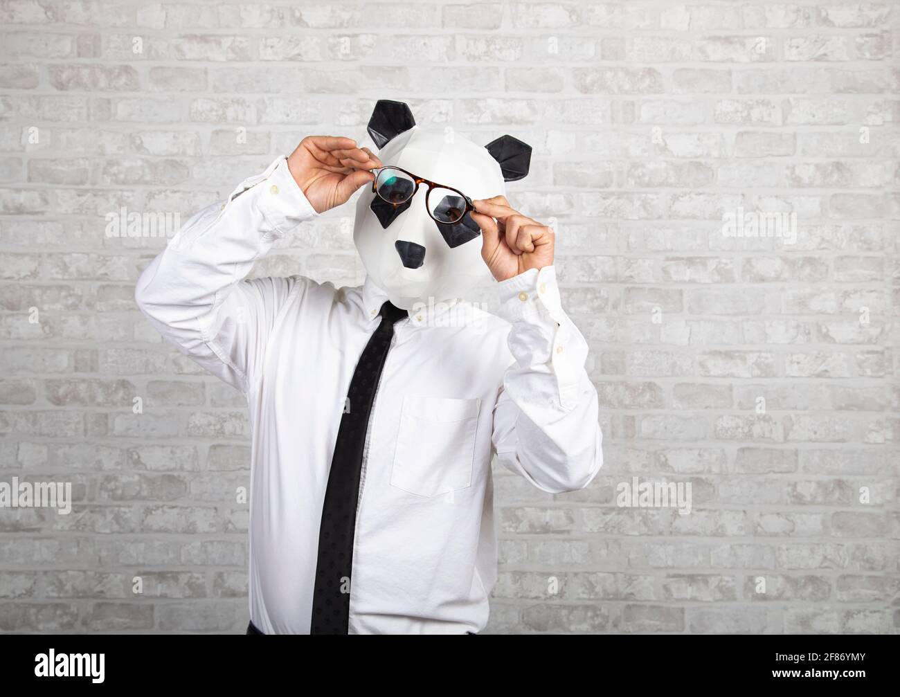Man in panda costume suit hi-res stock photography and images - Alamy