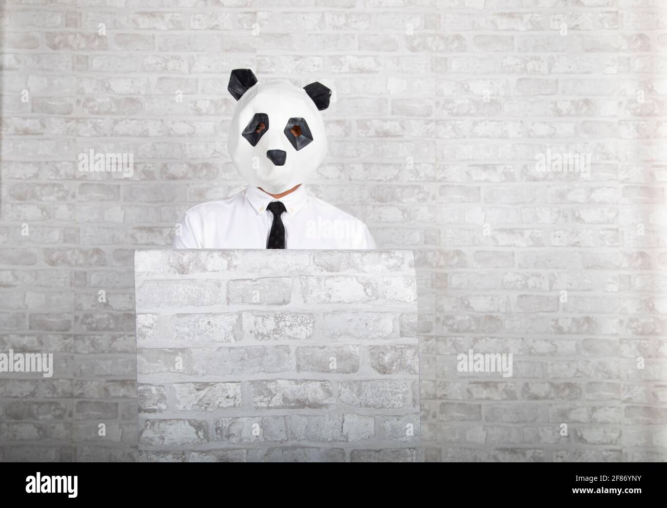 Man in panda costume suit hi-res stock photography and images - Alamy