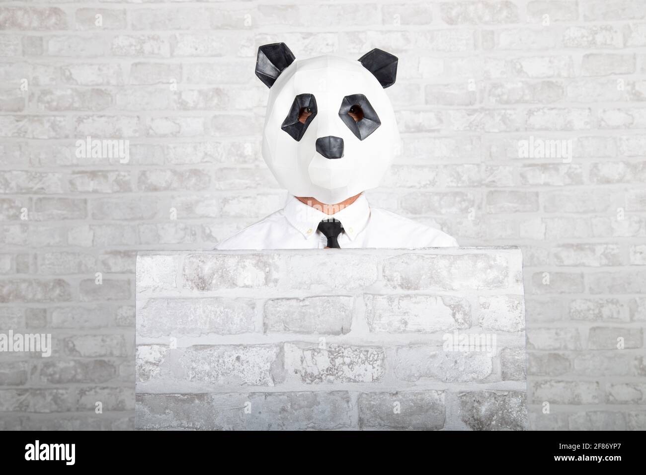 Man in panda costume suit hi-res stock photography and images - Alamy