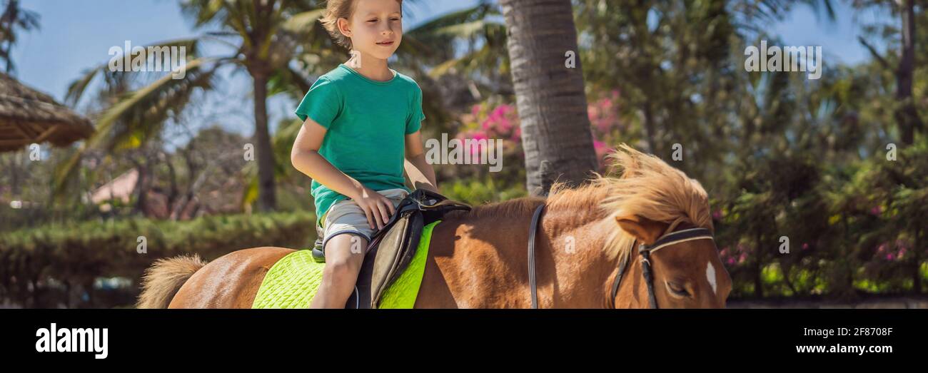 Smiling, young boy ride a pony horse. Horseback riding in a tropical ...
