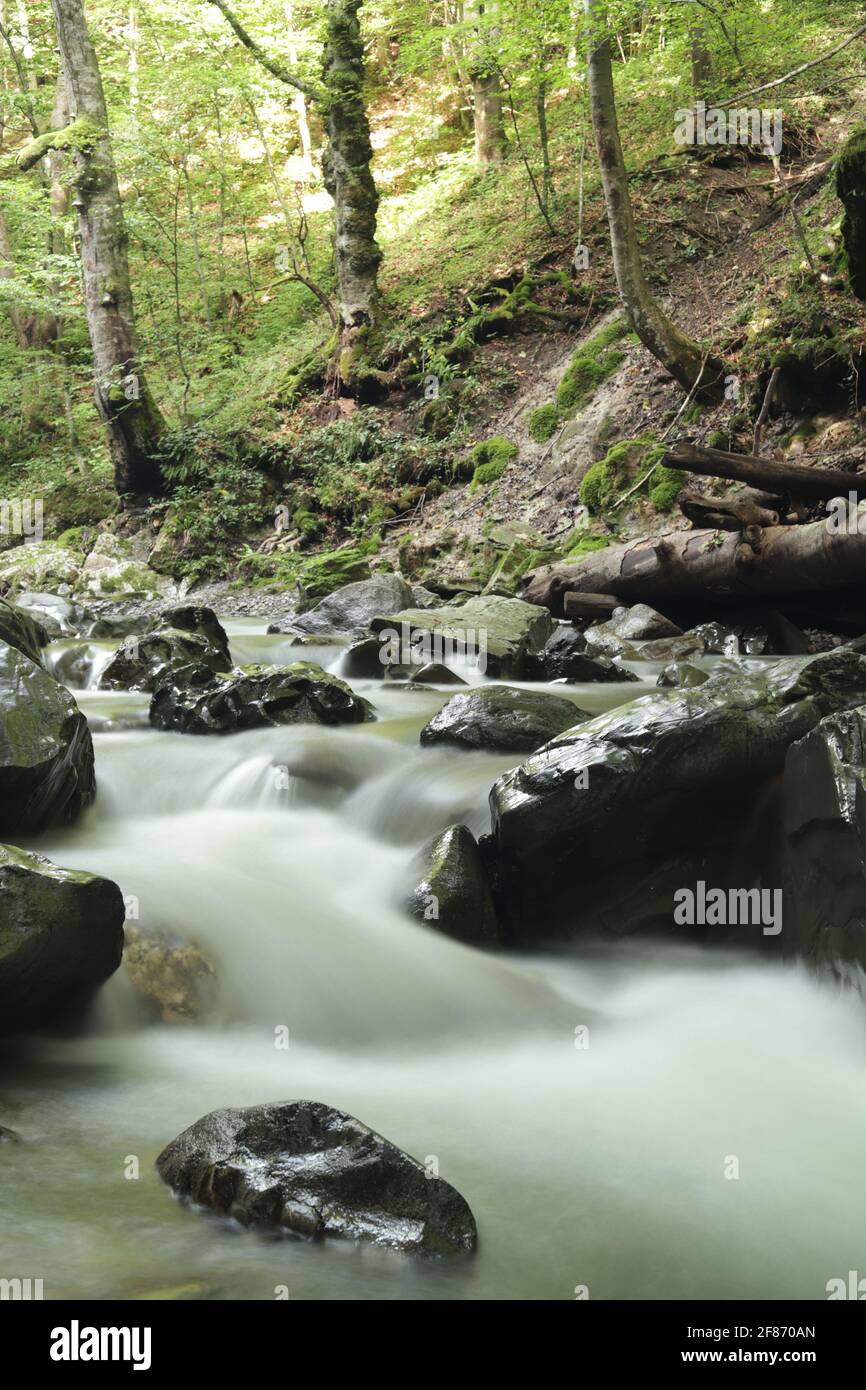 Beautiful scenery of a fast-flowing river running through mountain ...