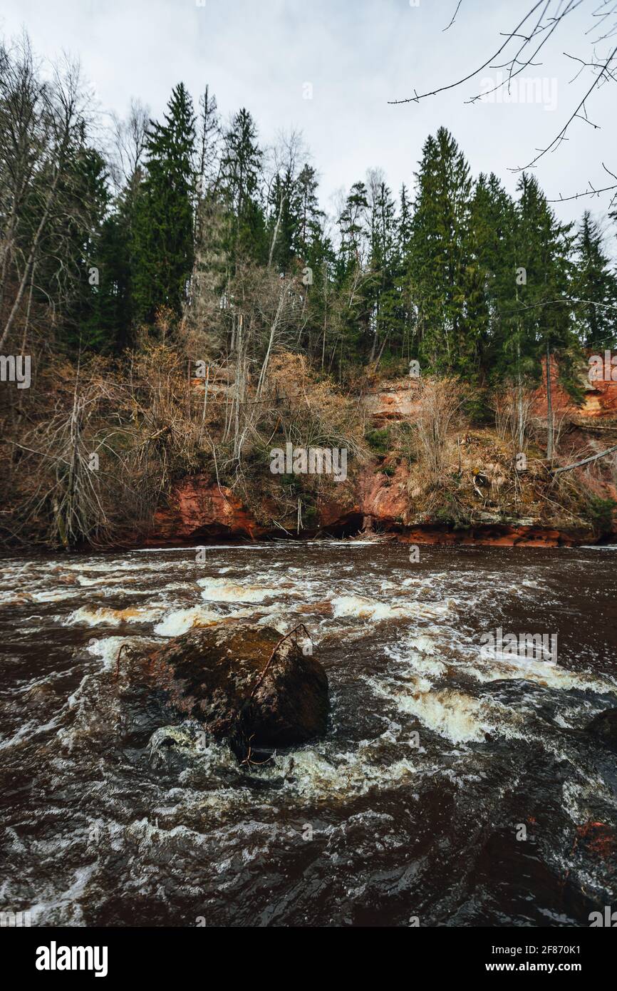Vertical shot of the river surrounded by trees Stock Photo - Alamy