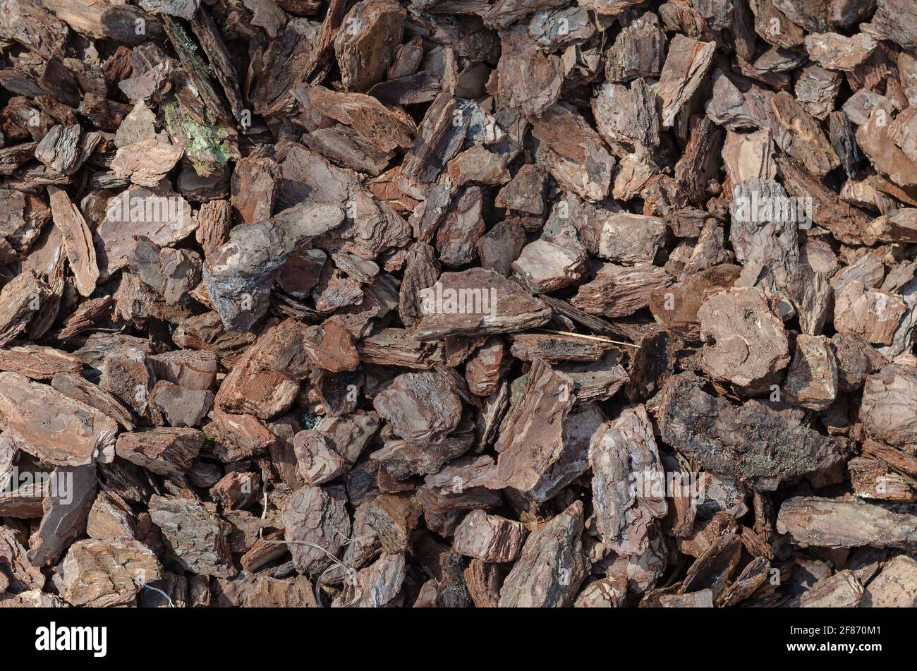 Shredded pine bark for mulching. Natural bark used as a soil covering ...