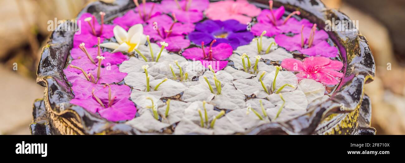 A pattern of flowers in a container with water, spa concept BANNER ...