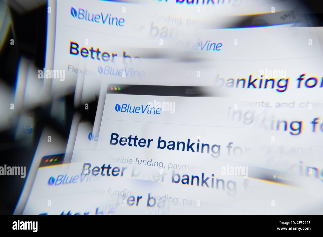 Bluevine logo hi-res stock photography and images - Alamy