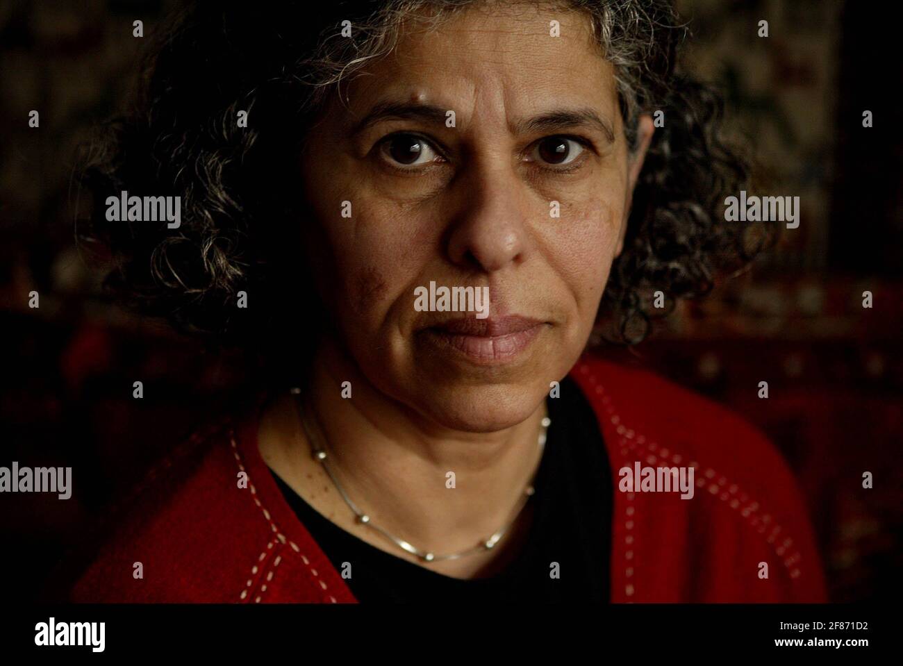 Haifa Zangana, writer at her home in north east London.Picture David ...