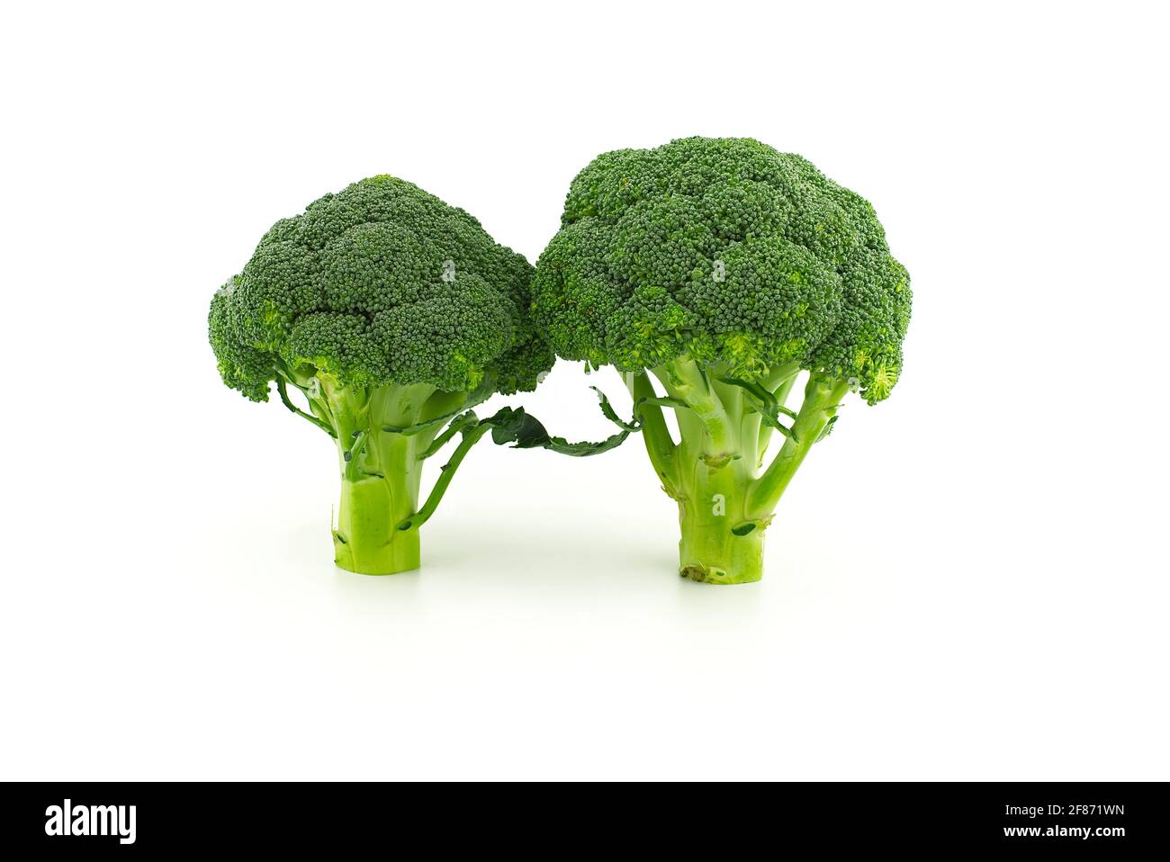 Fresh raw green broccoli florets isolated on white background Stock ...