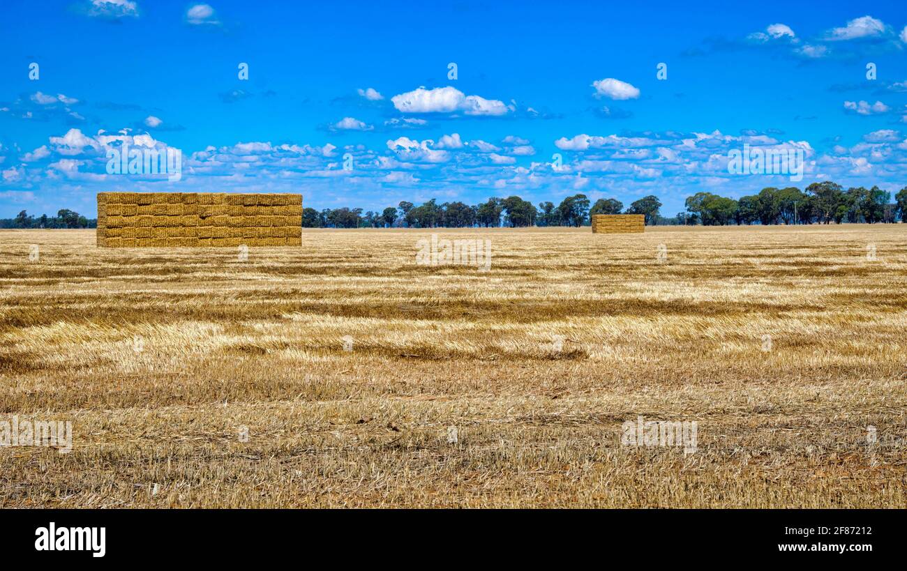 Hay nsw hi-res stock photography and images - Alamy