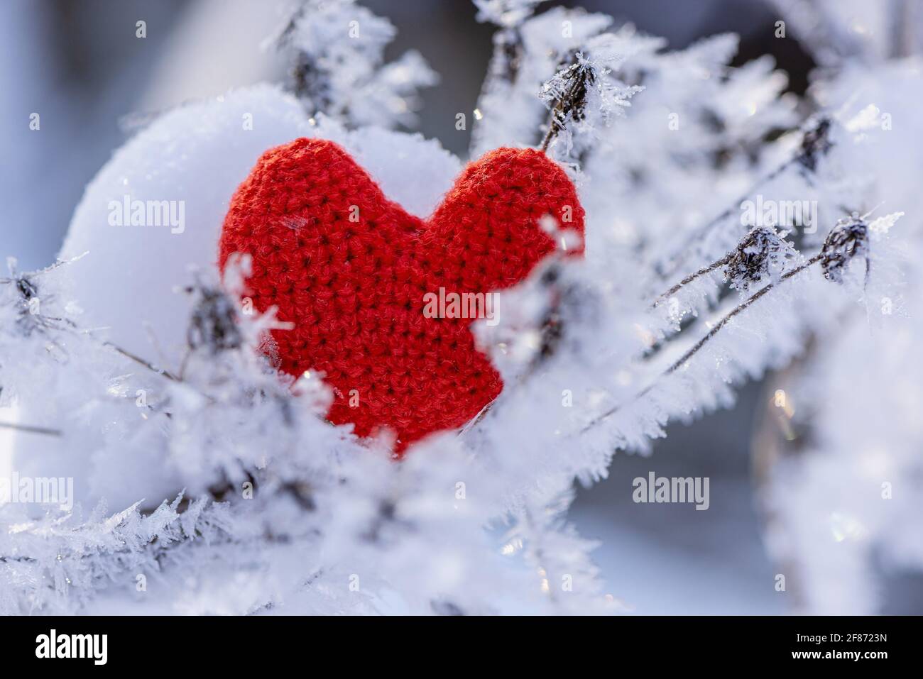Winter Love