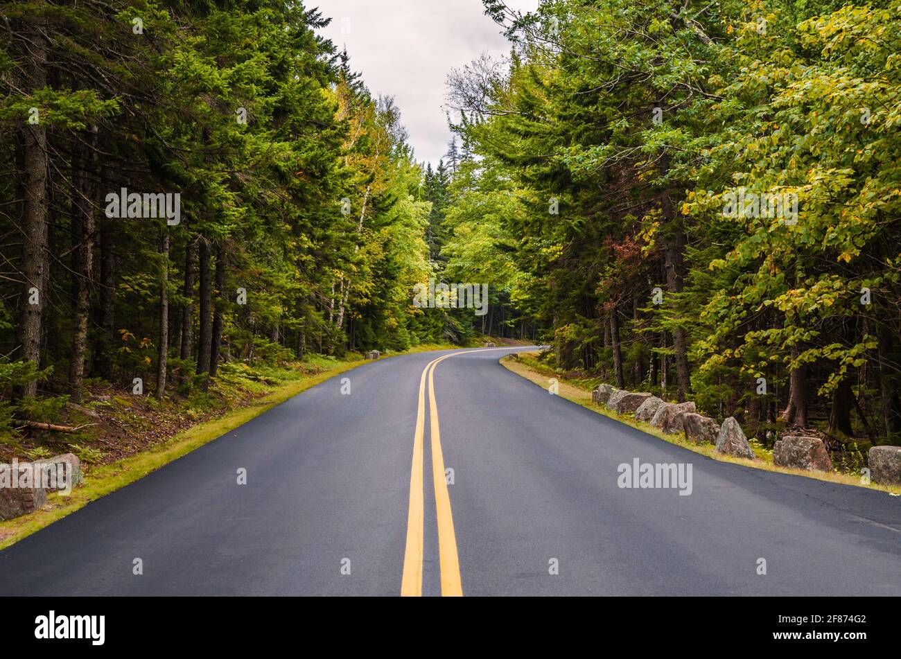 A paved road, marked with double yellow lines, winding through a dense ...