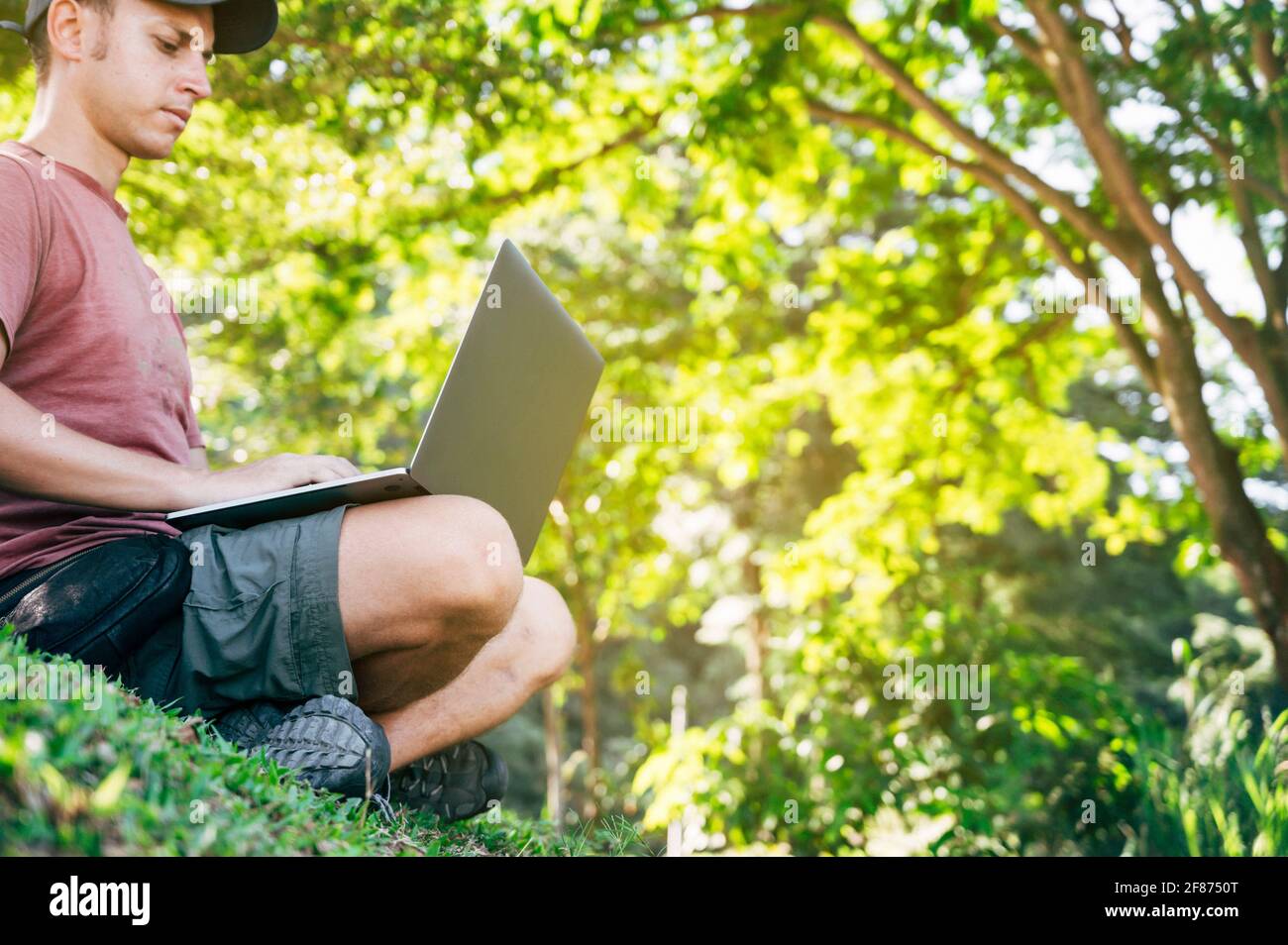 Digital nomad man working in the forest Stock Photo - Alamy