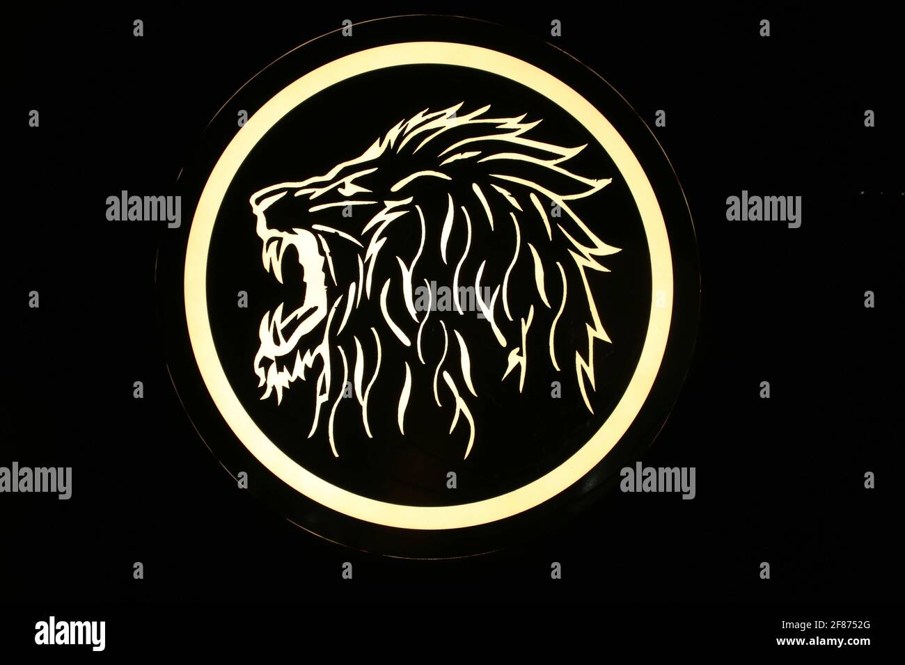 Roaring lion in a circle on a black background Stock Photo - Alamy