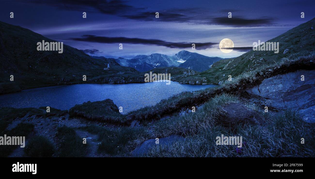 Moonlight lake shore night hi-res stock photography and images - Alamy