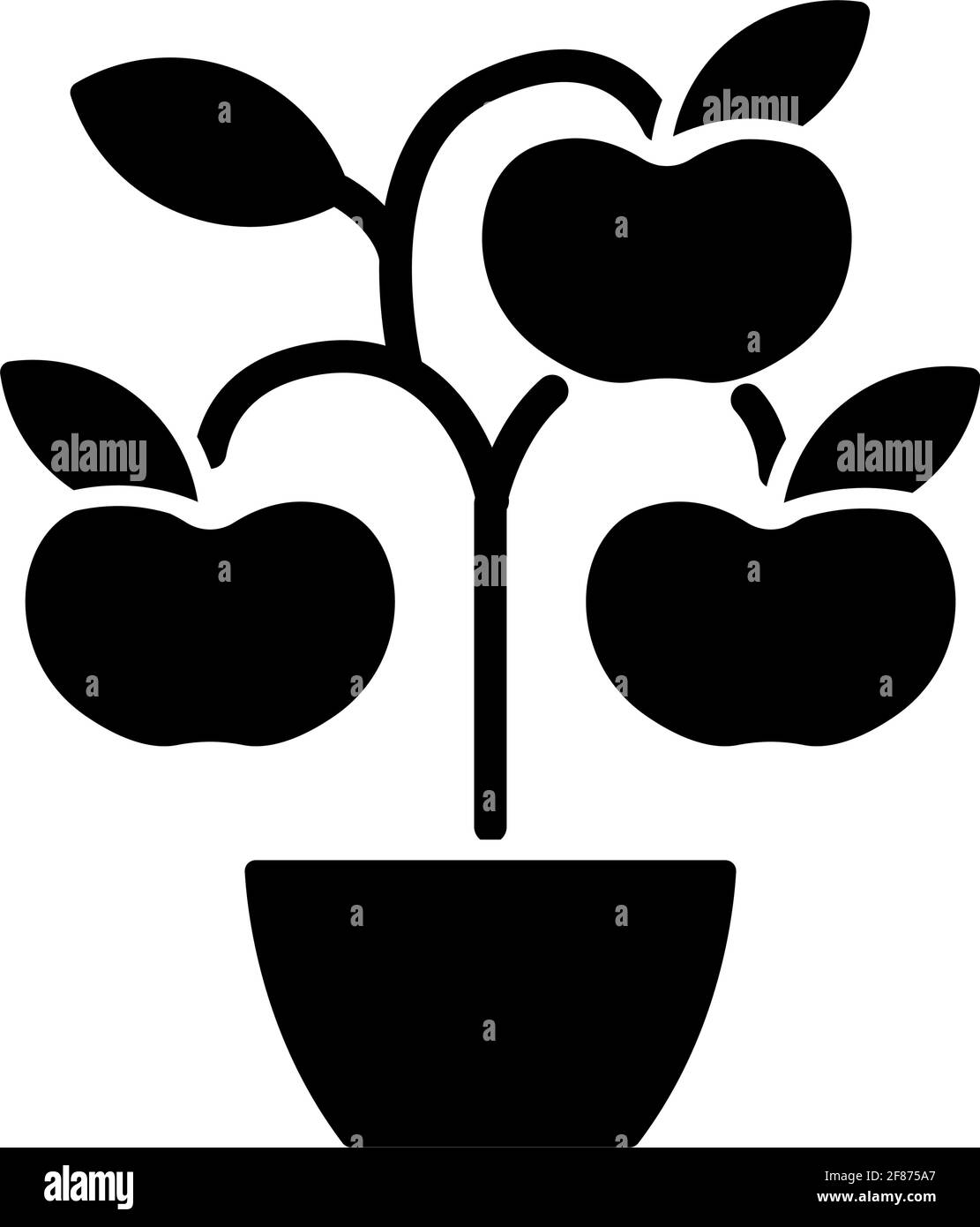 Fruit growing trees flowering Black and White Stock Photos & Images - Alamy