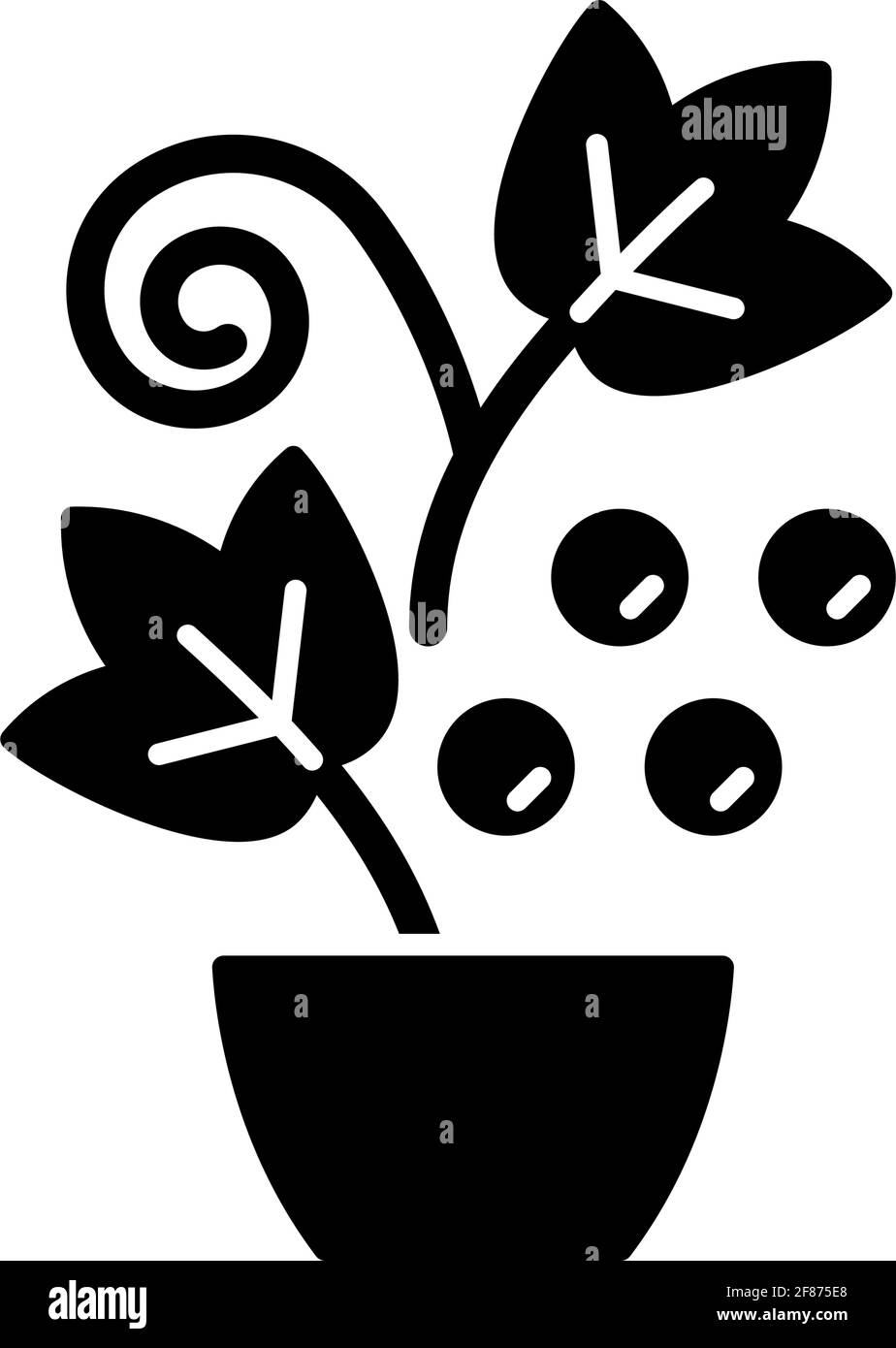 Growing shrubs Black and White Stock Photos & Images - Alamy