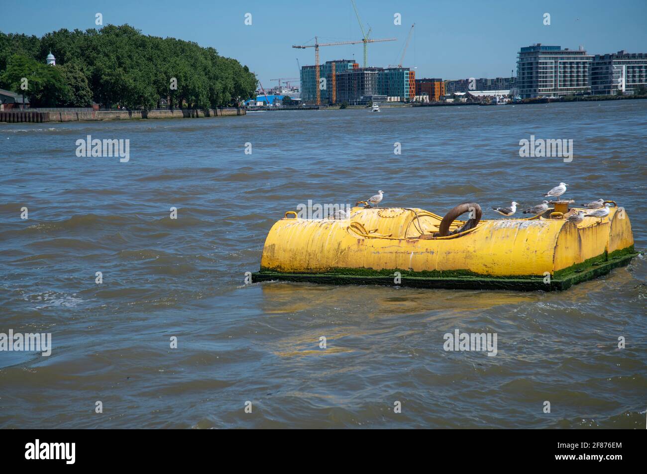 Floating, rusty buoy with seagulls Stock Photo - Alamy
