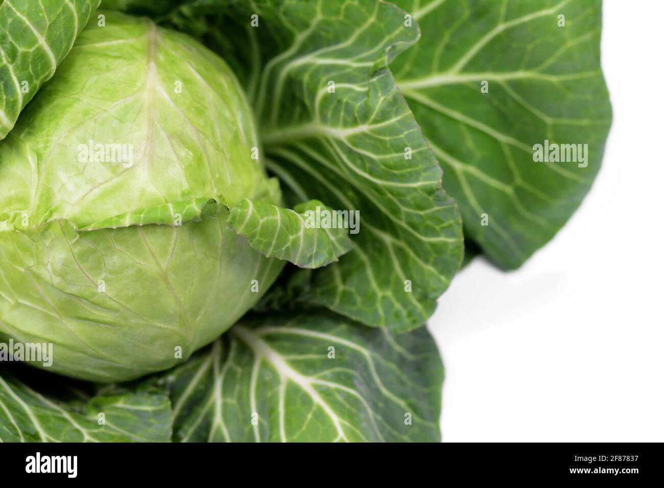 Cabbage isolated on white background. Fresh green cabbage Stock Photo ...