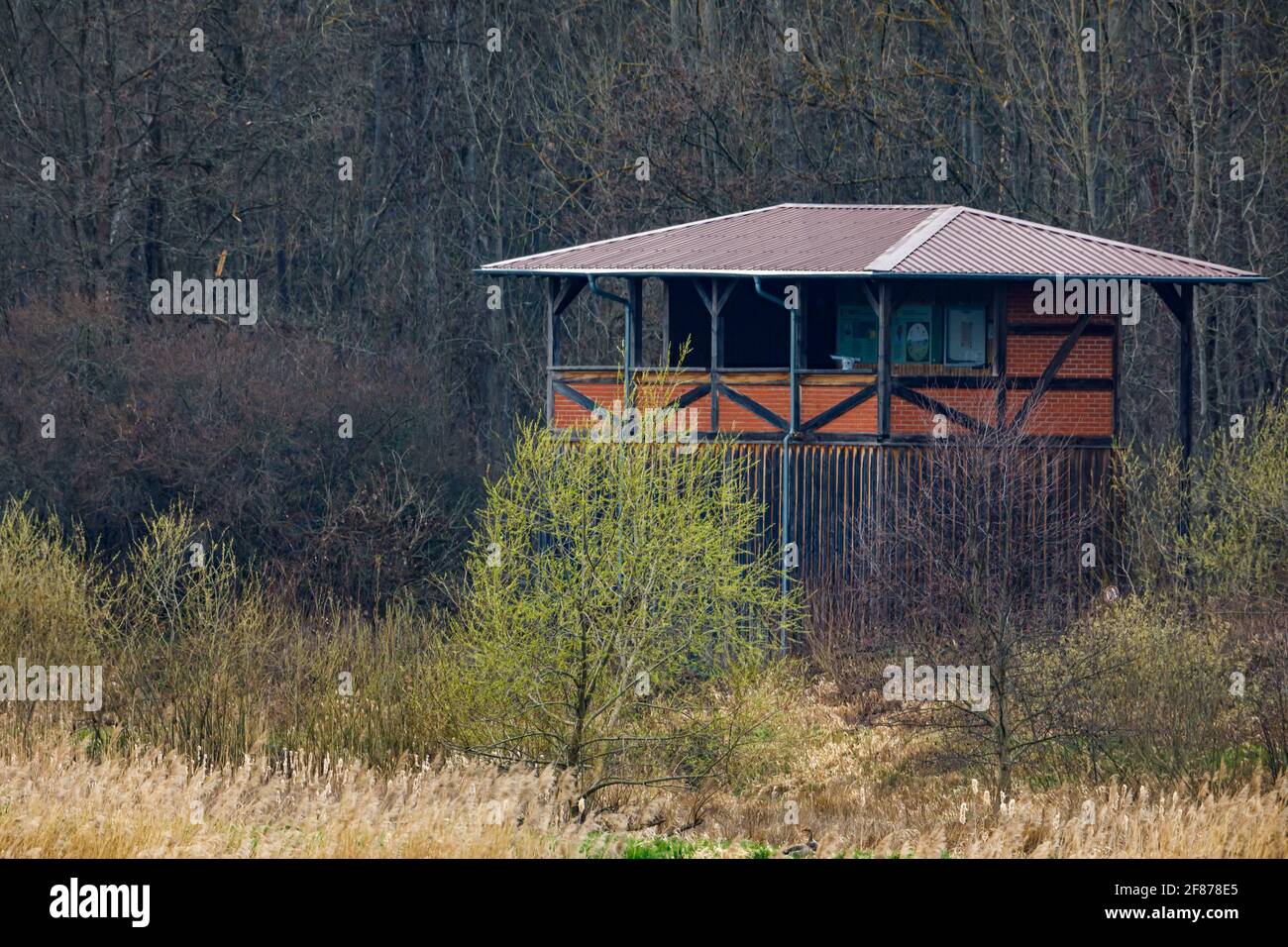 A observation hut in the nature reserve of Obersuhl in Hesse Stock ...