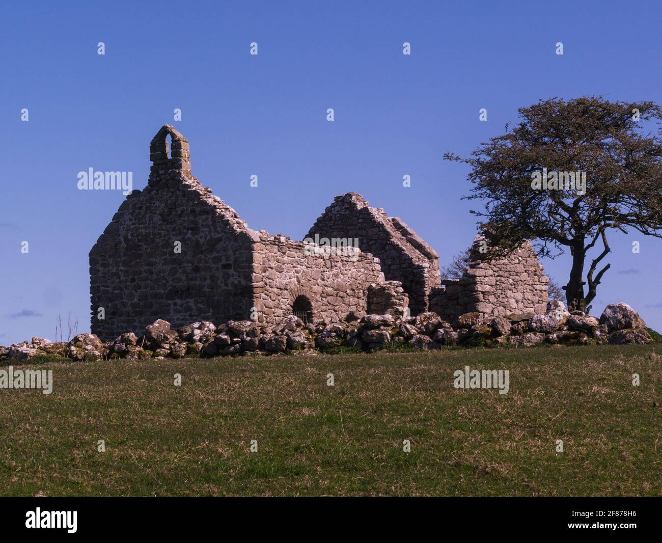 Ruins of Capel Lligwy a small simple chapel probably built as a ...