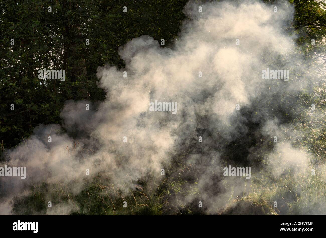 Smoke from a rural fire blows away by the wind in the summer closeup ...