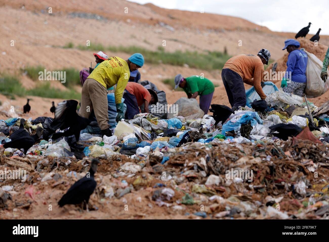 alagoinhas, bahia / brazil - May 2, 2019: People are seen collecting ...