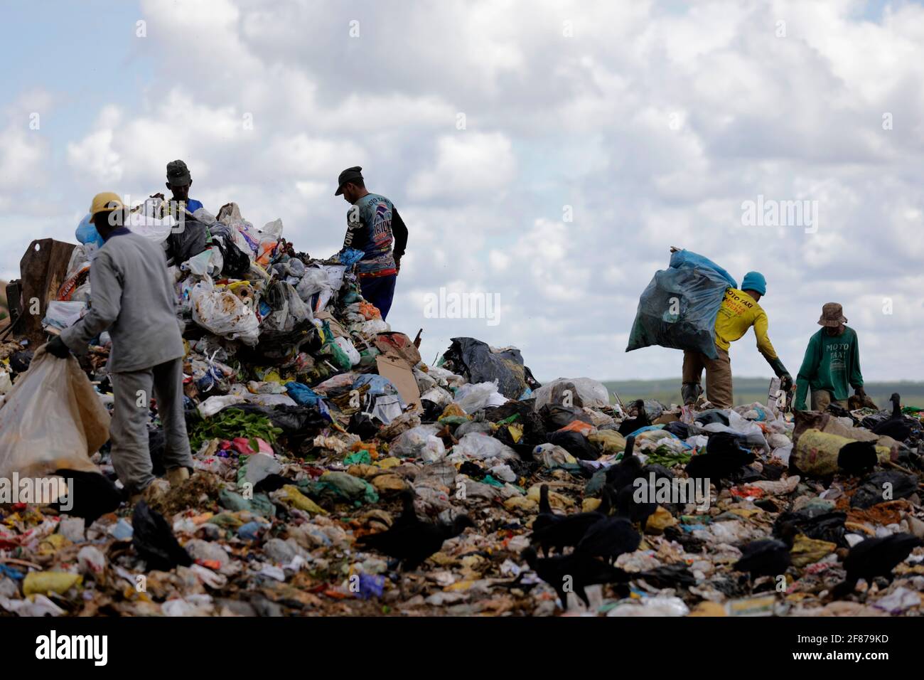 alagoinhas, bahia / brazil - May 2, 2019: People are seen collecting ...