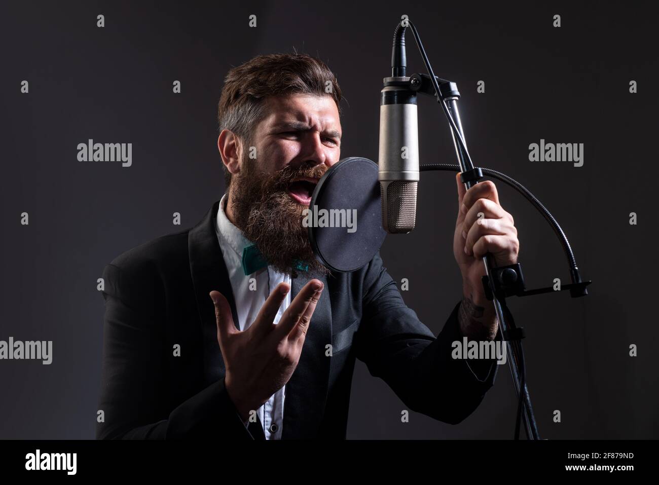 Music festival. Singer performing a song with a microphone while ...