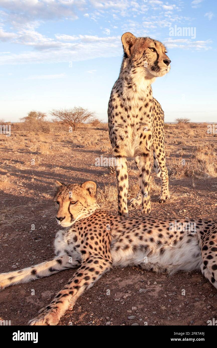 Kalahari basin hi-res stock photography and images - Alamy