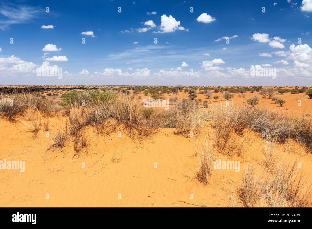 Kalahari basin hi-res stock photography and images - Alamy