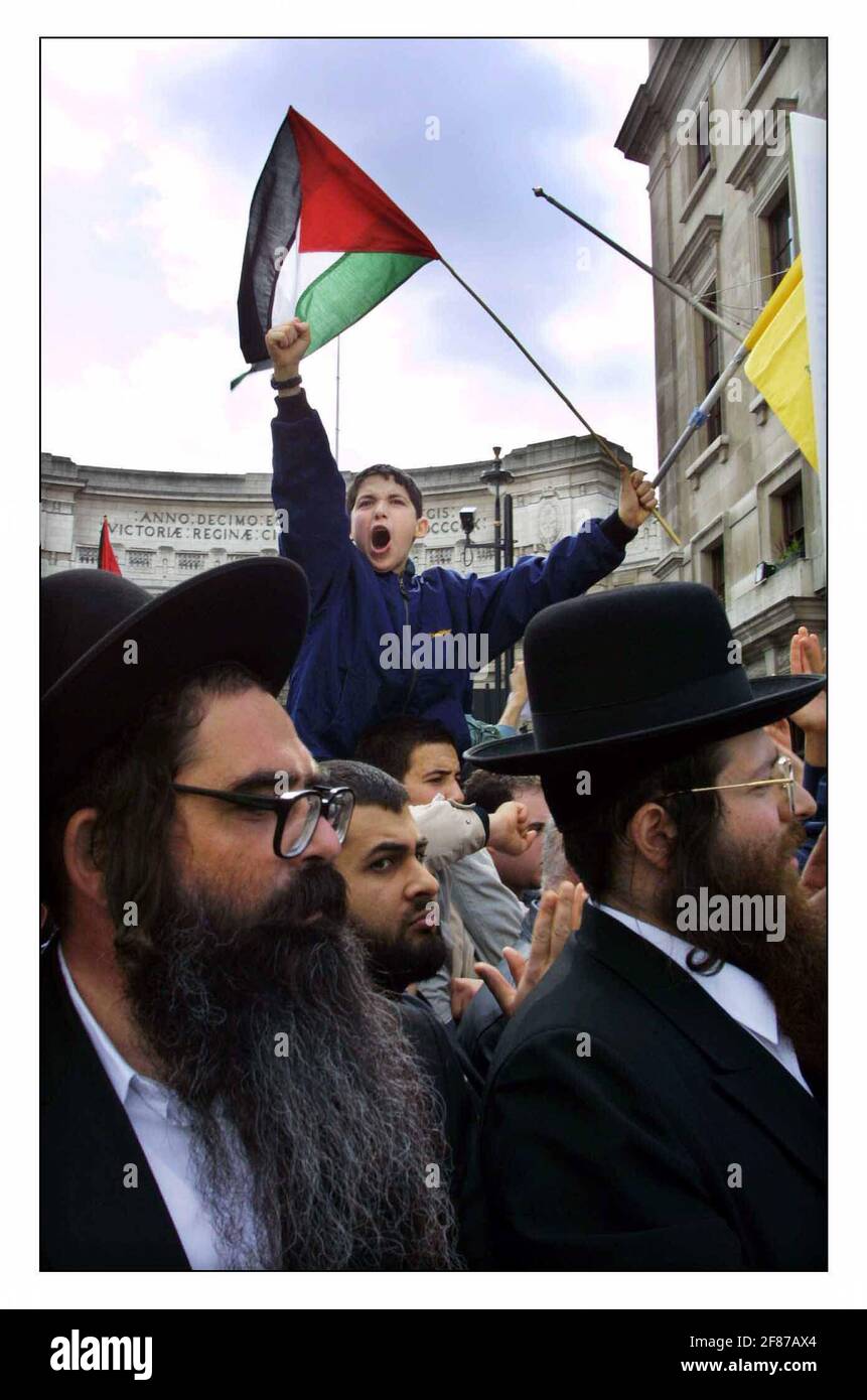 Hassidic Jews join pro palastinian demonstrators +/- 100 yards from the ...
