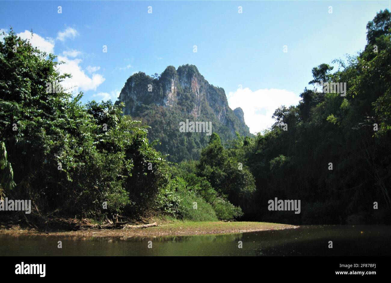 Inside a jungle hi-res stock photography and images - Alamy