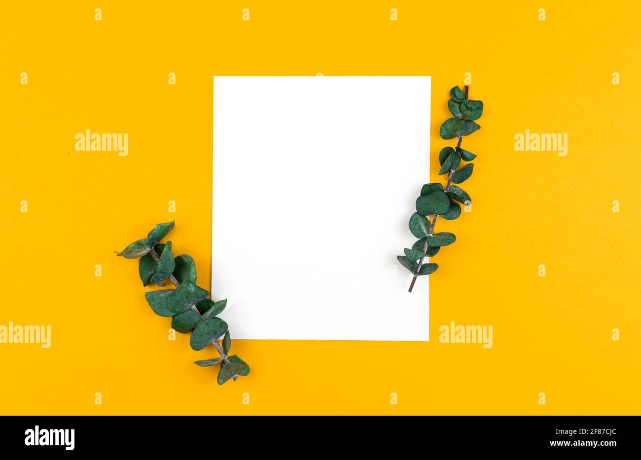 Flay lay minimal mockup or template with blank white paper card ...