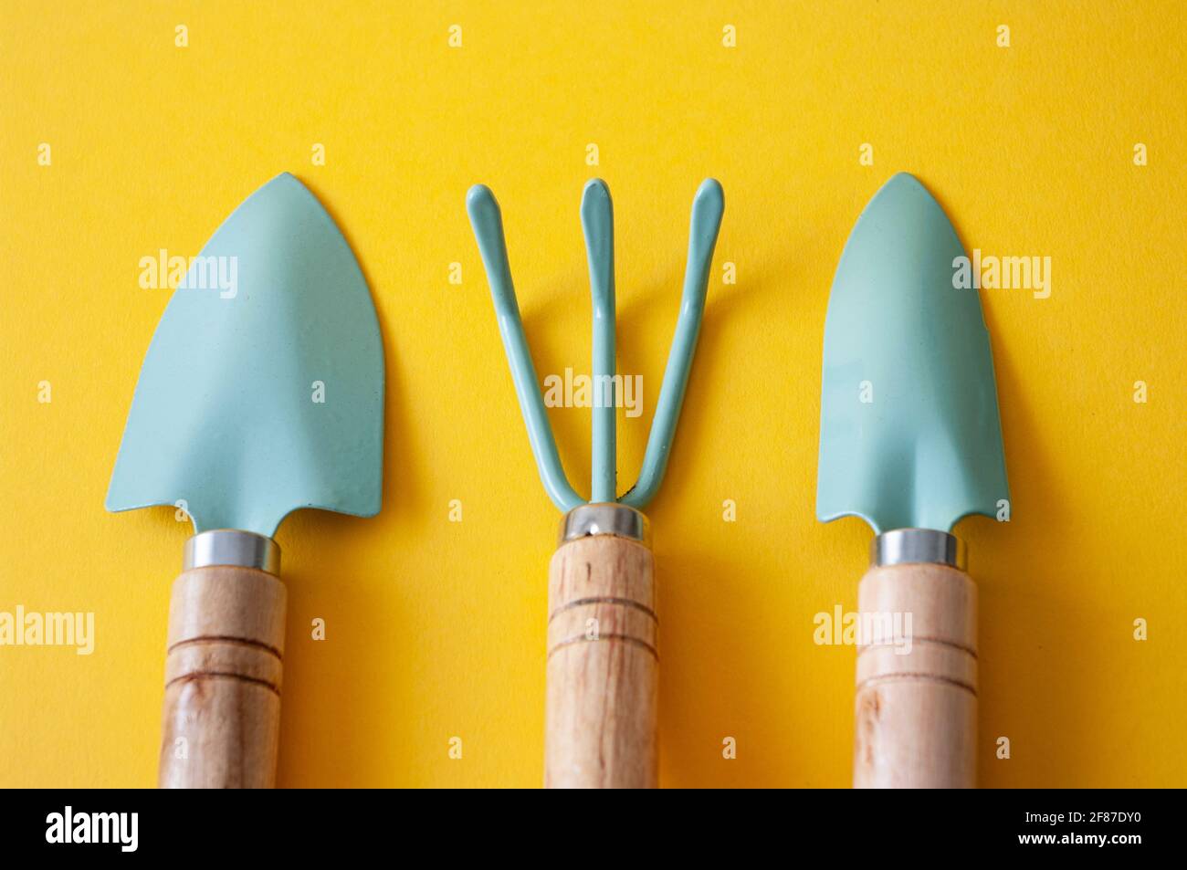 Different gardening tools on yellow background. Spring planting season ...