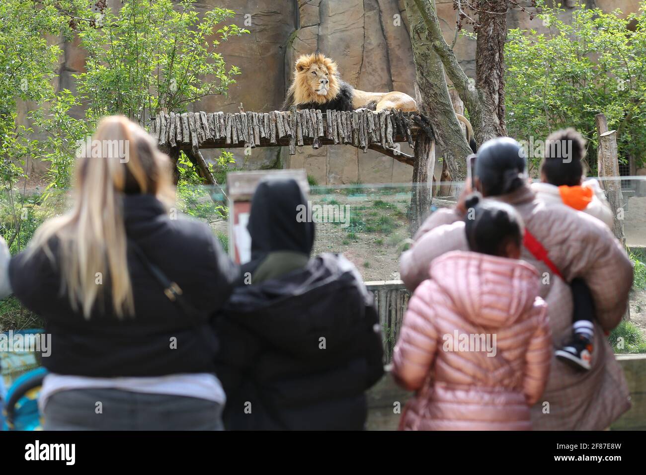 Zoo reopens hi-res stock photography and images - Alamy