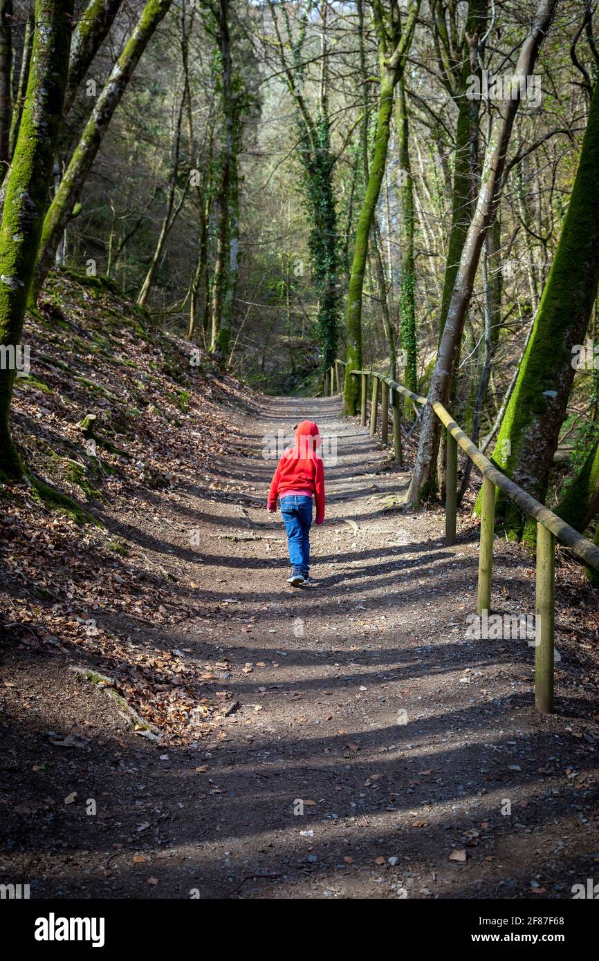Best Walks to Take in Devon,Best Walks in Devon,teign valley,scenic ...