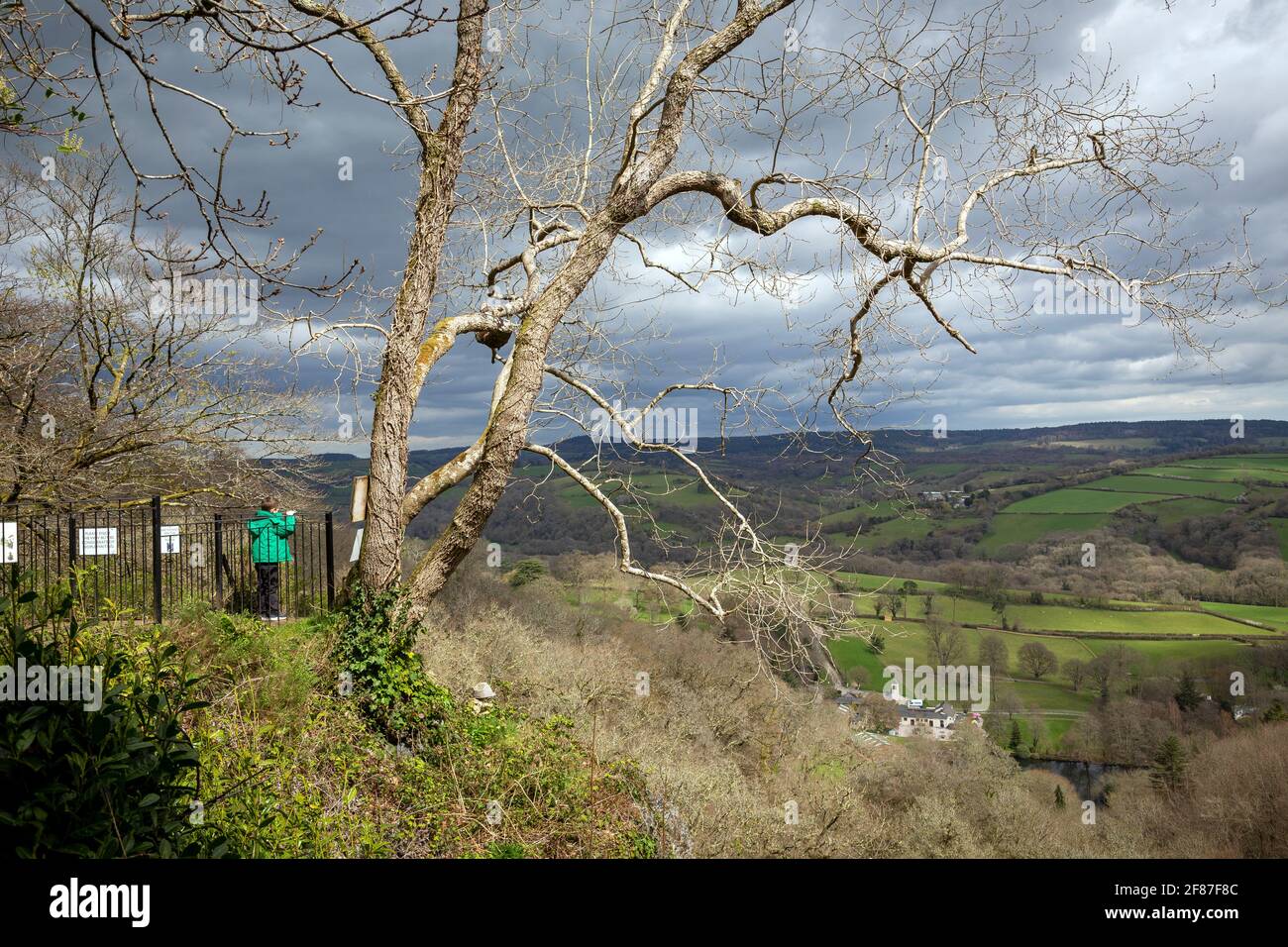 Best Walks to Take in Devon,Best Walks in Devon,teign valley,scenic ...