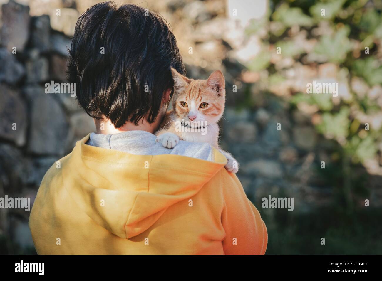 Back view of child with kitten outdoor Stock Photo - Alamy