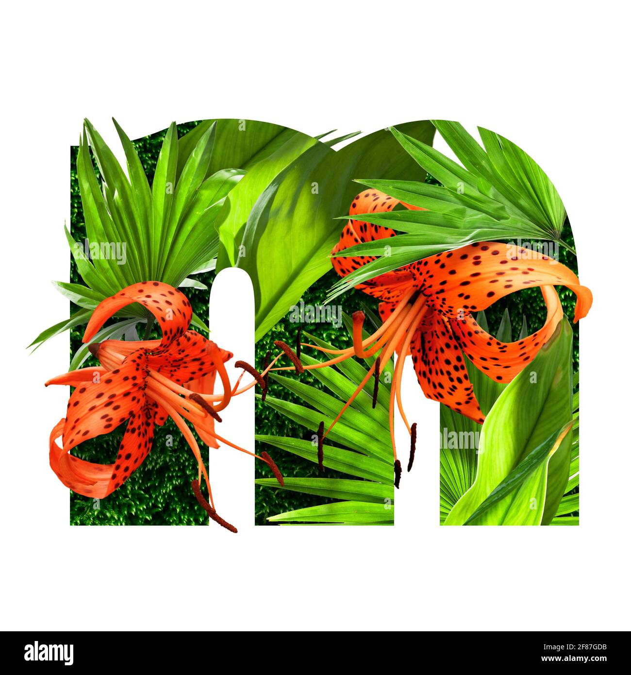 stylized font high res stock images, floral design text, letter m ...