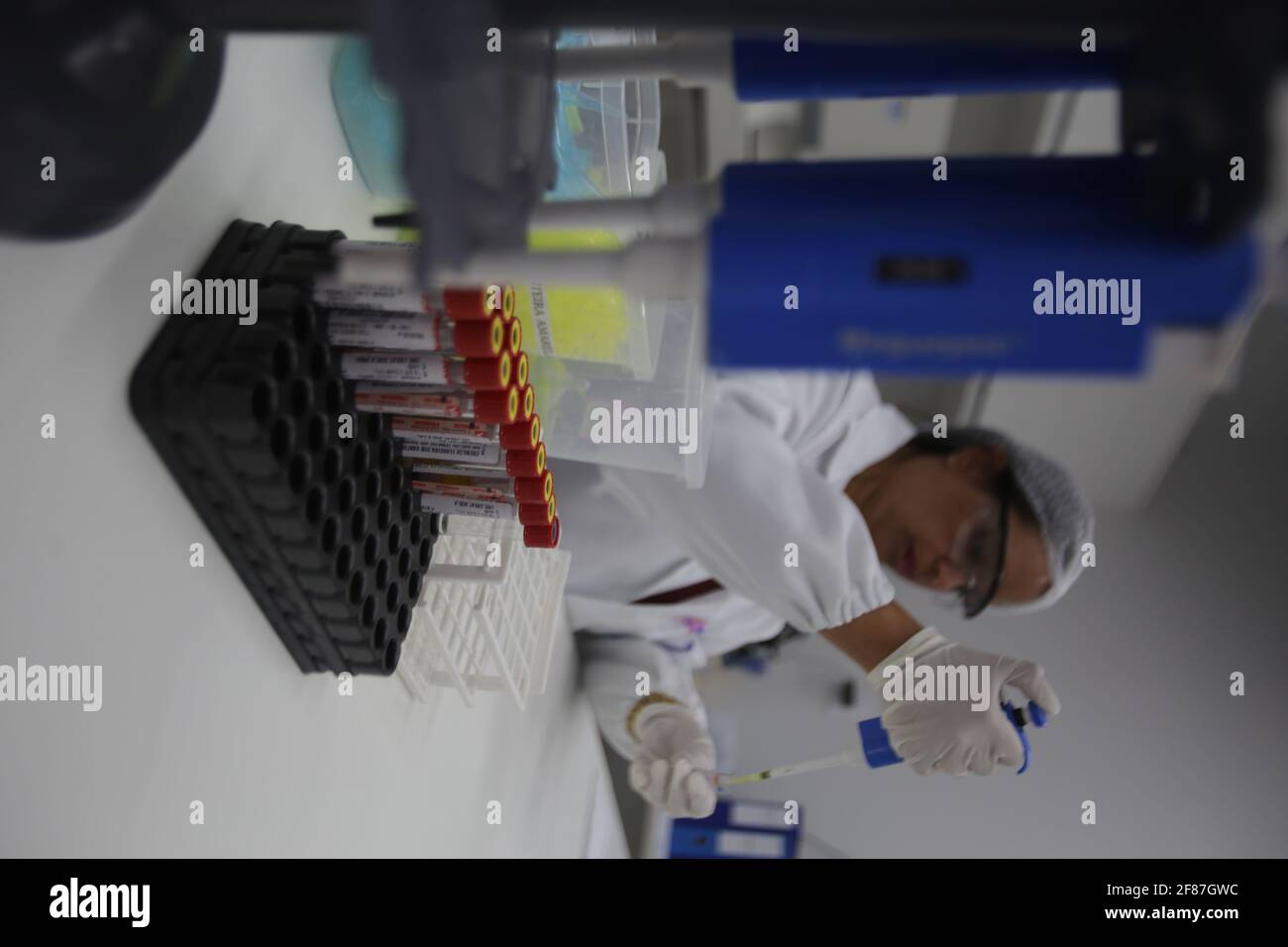 salvador, bahia / brazil - november 5, 2018: Laboratory technician uses ...