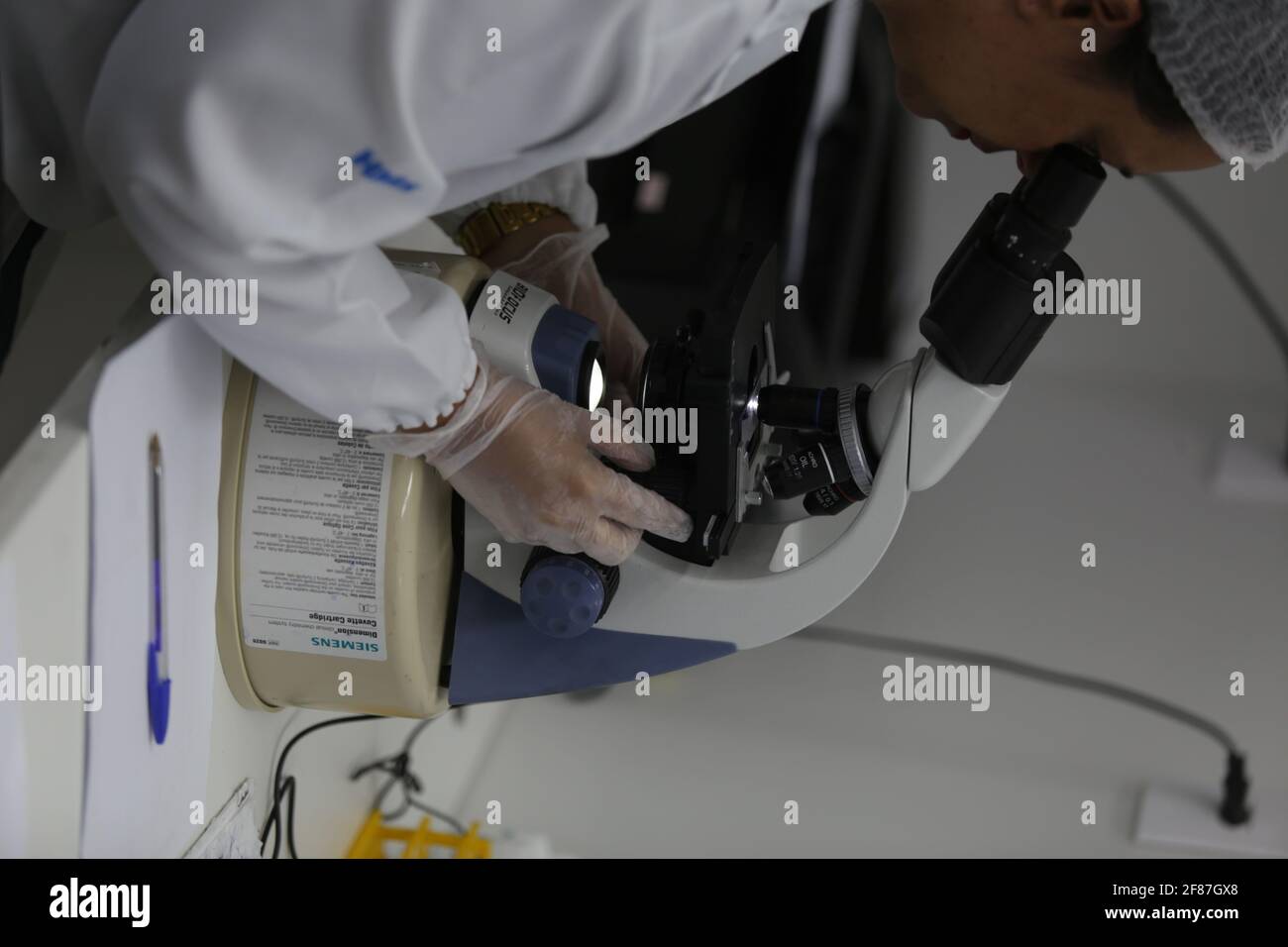salvador, bahia / brazil - november 5, 2018: Laboratory technician uses ...