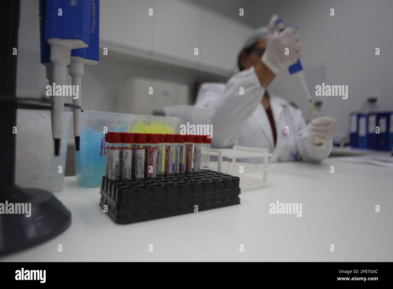 salvador, bahia / brazil - november 5, 2018: Laboratory technician uses ...