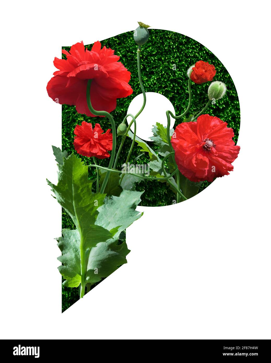 stylized font high res stock images, floral design text, letter p ...